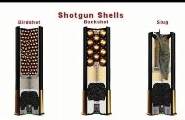 Shotgun Shells Birdshot Buckshot Slug - iFunny