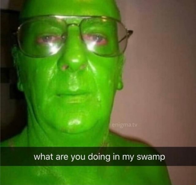 What are you doing in my swamp - iFunny