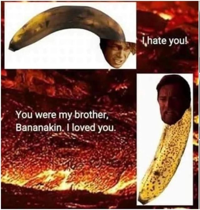 You} You were my brother, Bananakin. I loved you. - iFunny