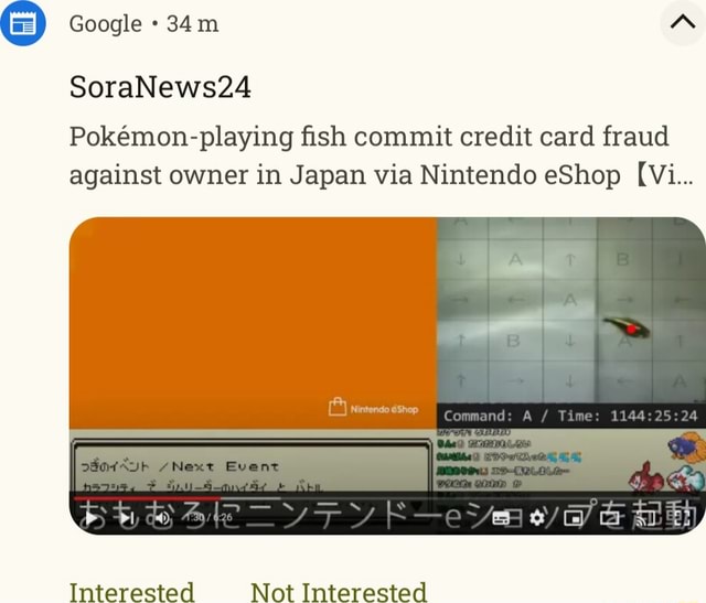 Google SoraNews24 Pokmon-playing fish commit credit card fraud against ...