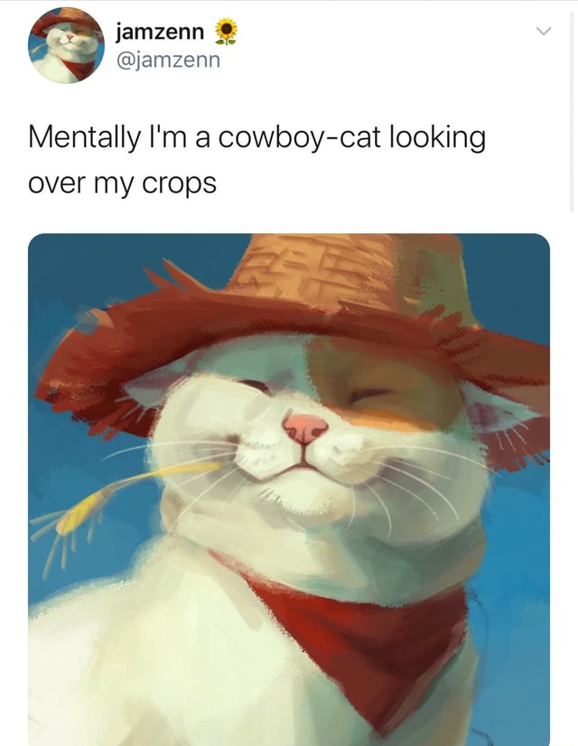 Mentally I'm a cowboy-cat looking over my crops - iFunny