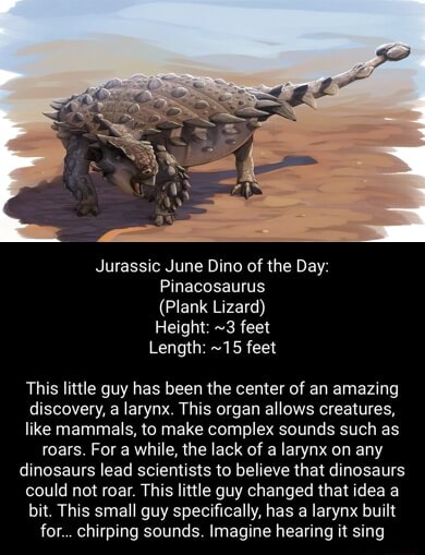 Jurassic June Dino of the Day: Pinacosaurus (Plank Lizard) Height: ~3 ...