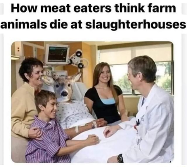 How meat eaters think farm animals die at slaughterhouses - iFunny