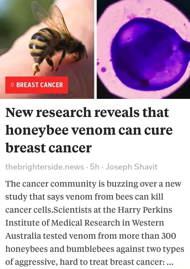 # BREAST CANCER New research reveals that honeybee venom can cure ...