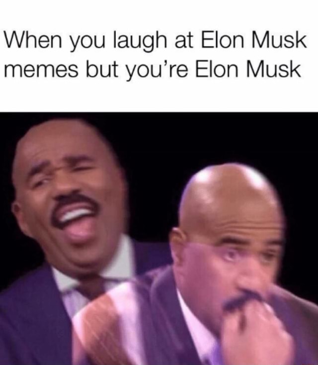 When you laugh at Elon Musk memes but you’re Elon Musk - iFunny