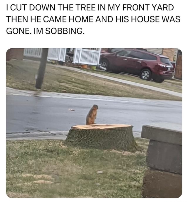 This is the saddest thing Ive seen in decades memes explore funny - I ...