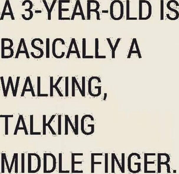 A 3-YEAR-OLD IS BASICALLY A WALKING, TALKING MIDDLE FINGER. - America’s ...
