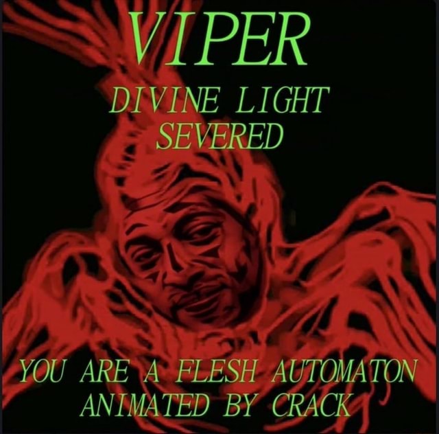 VIPER DIVINE LIGHT SEVERED YOU ARE A FLESH AUTOMATON ANIMATED BY CRACK ...