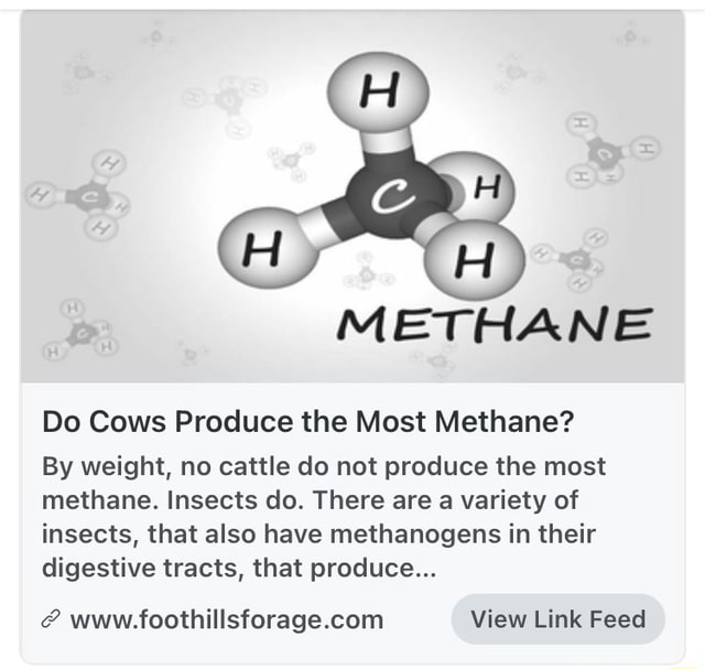 METHANE Do Cows Produce the Most Methane? By weight, no cattle do not ...