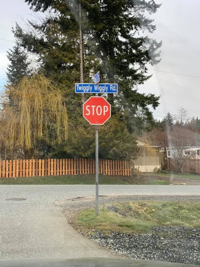 Google maps lady said turn right at Twiggly Wiggly road, thank you I ...