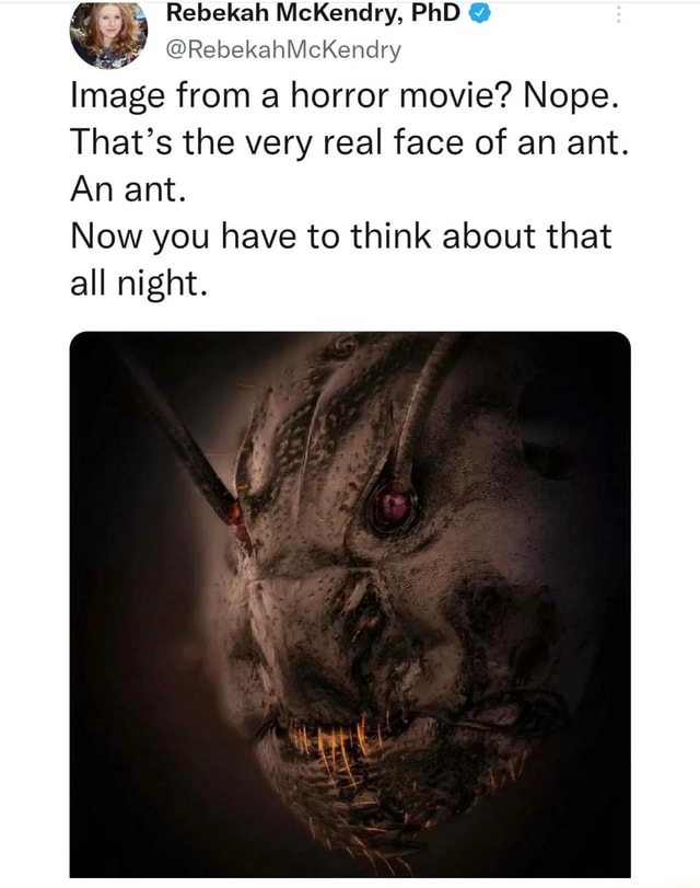 Rebekah McKendry, PhD @RebekahMcKendry Image from a horror movie? Nope ...