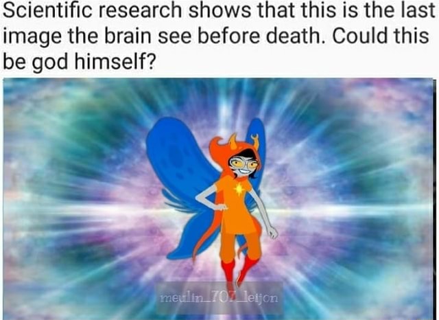 Scientiﬁc research shows that this is the last image the brain see ...