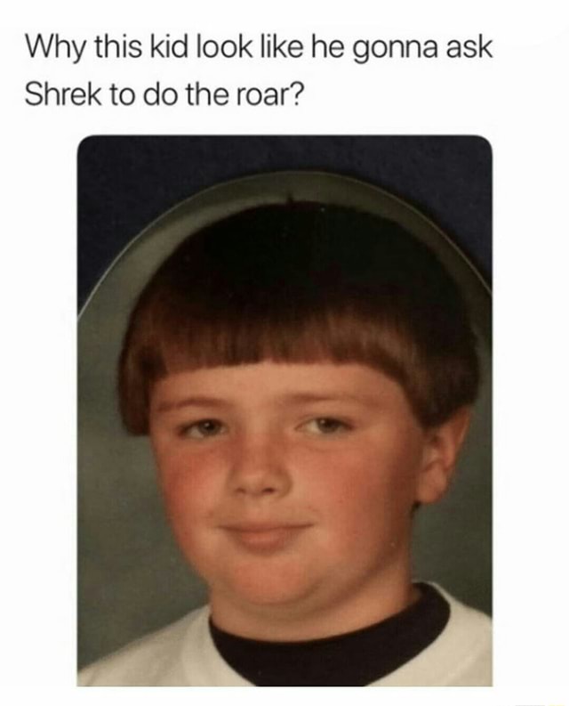Why this kid look like he gonna ask Shrek to do the roar? - iFunny