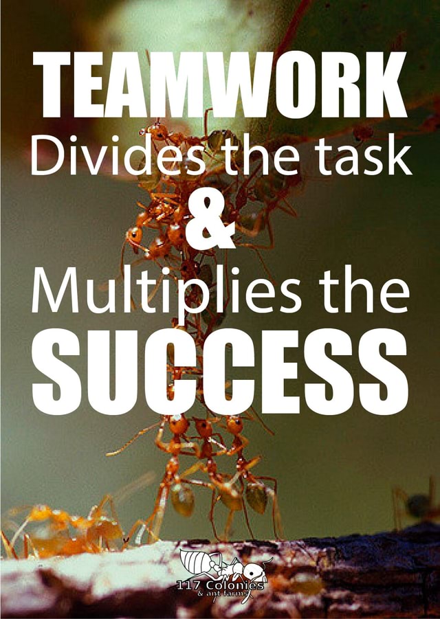 TEAMWORK Divides the task Multiplies the - America’s best pics and videos