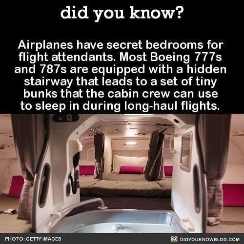 Did you know? Airplanes have secret bedrooms for flight attendants ...