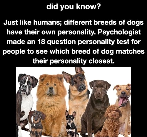 Did you know? Just like humans; different breeds of dogs have their own ...