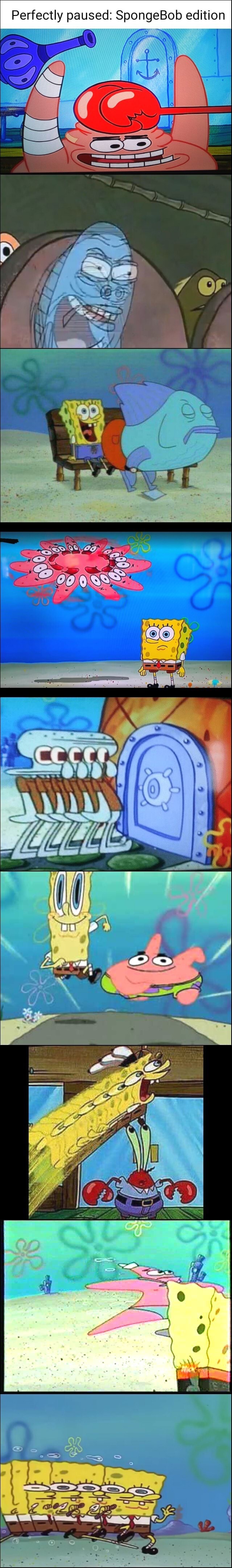 Perfectly paused: SpongeBob edition - iFunny