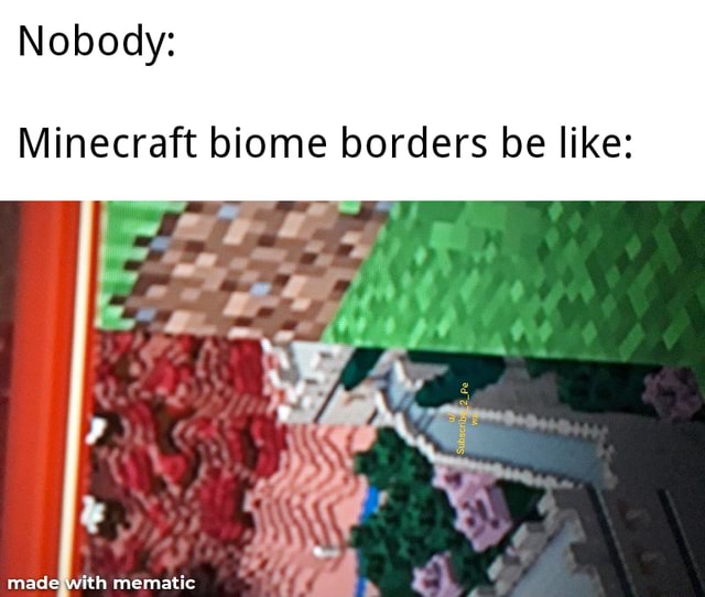 Nobody: Minecraft biome borders be like: - iFunny