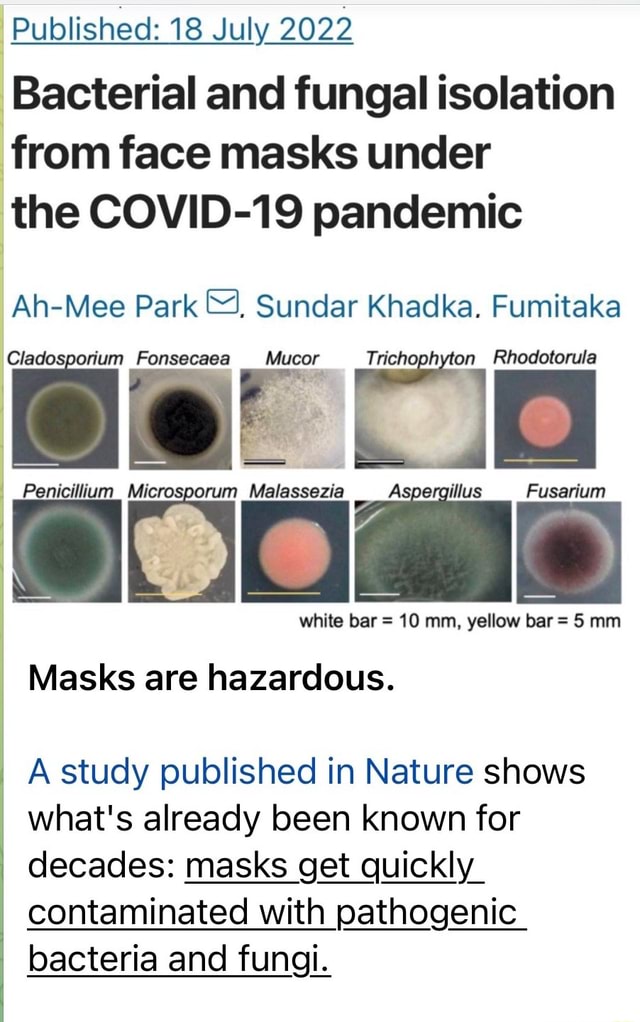Published: 18 July 2022 Bacterial and fungal isolation from face masks ...