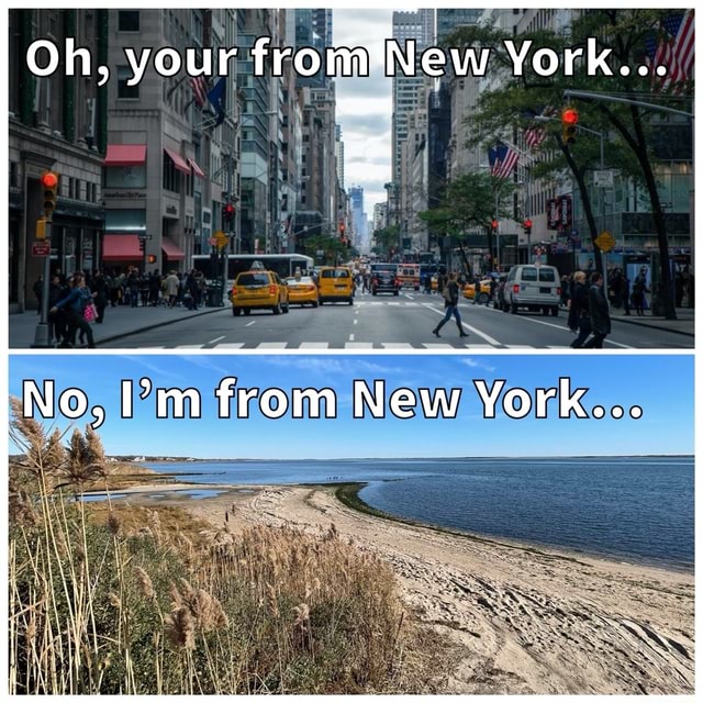 Oh, your from*New York... No, I'm from New York... - iFunny