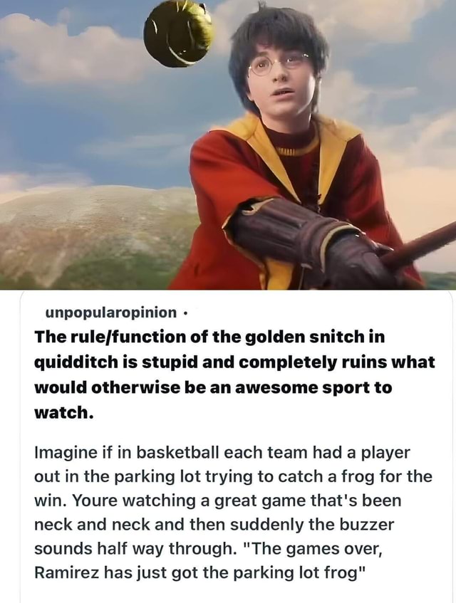The of the golden snitch in quidditch is stupid and completely ruins ...