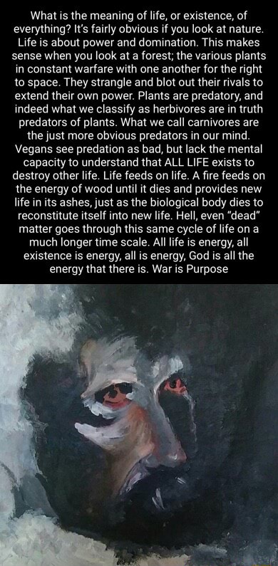 What is the meaning of life, or existence, of everything? It's fairly ...