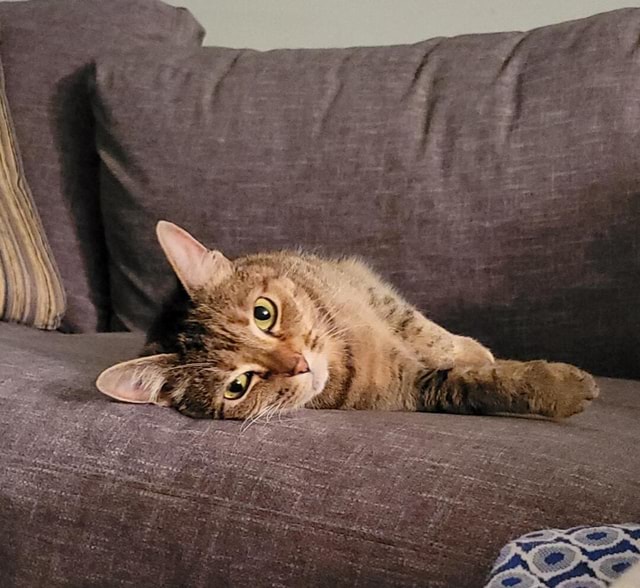 Look at those cute peets.. I get this "peet" saying from BenBen's mom ...