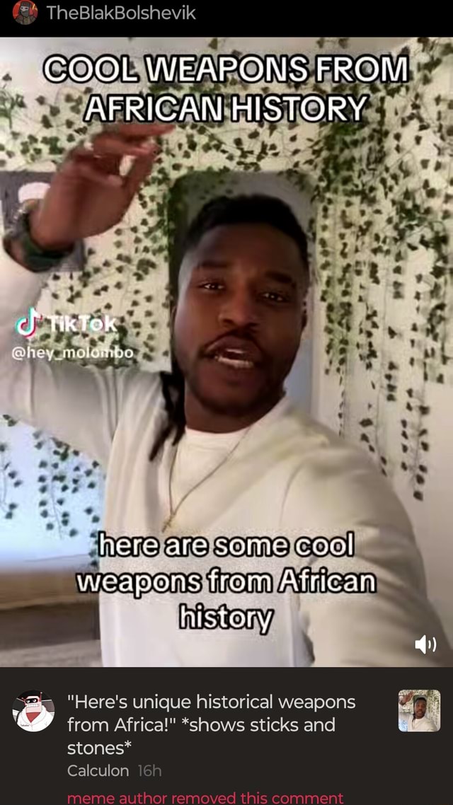 COOL TikTok @hey we TheBlakBolshevik = = =f FROM iv AFRICAN HISTORY as ...