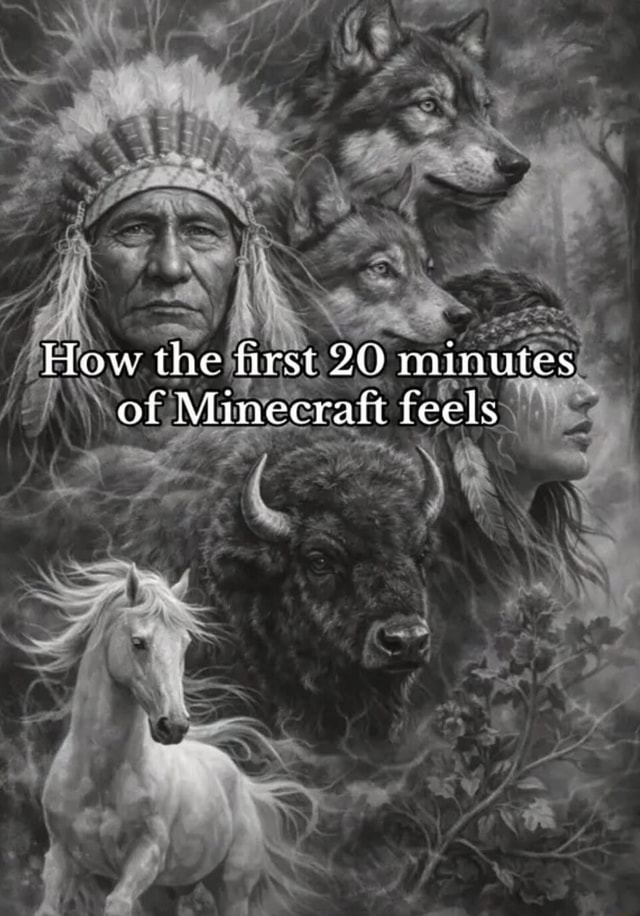 How the first 20 minutes of Minecratt feels - iFunny