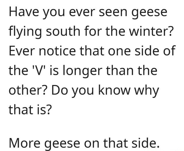 Have you ever seen geese lying south for the winter? Ever notice that ...