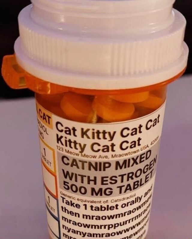 Kat Kitty Ca Kitty Cat Satup 4, 00 MG 00 MG - iFunny