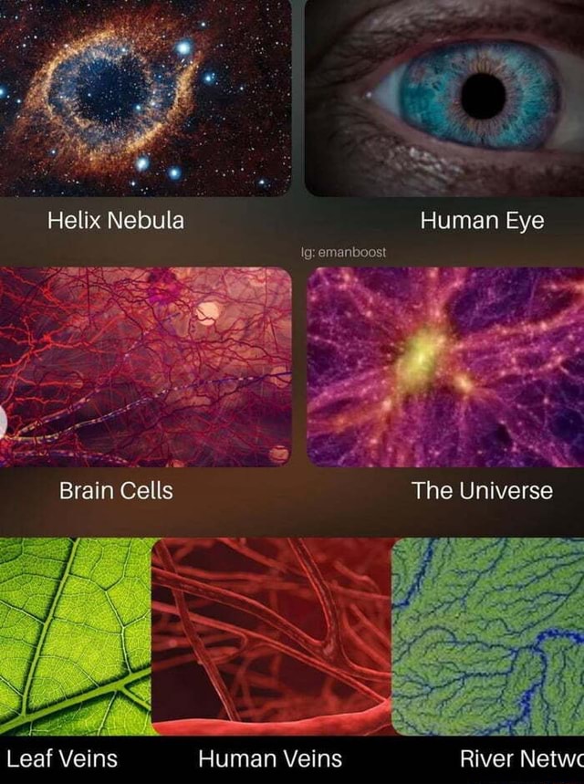 Helix Nebula Human Eye emanboost = * Brain Cells The Universe Leaf ...
