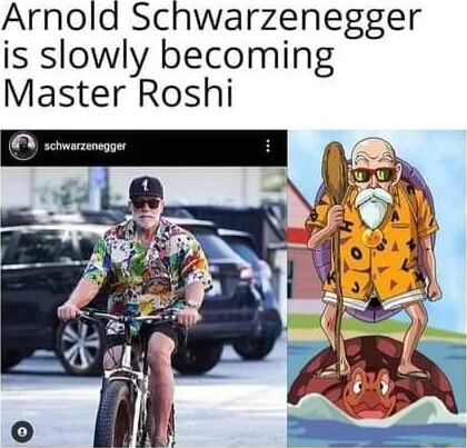 Arnold Schwarzenegger is slowly becoming Master Roshi - iFunny