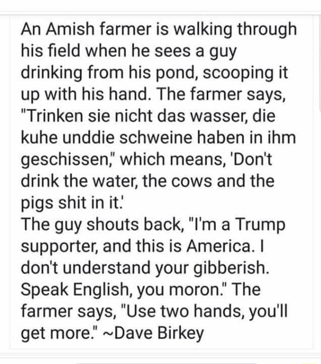 An Amish farmer is walking through his ﬁeld when he sees a guy drinking ...