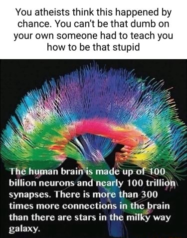 You atheists think this happened by chance. You can't be that dumb on ...