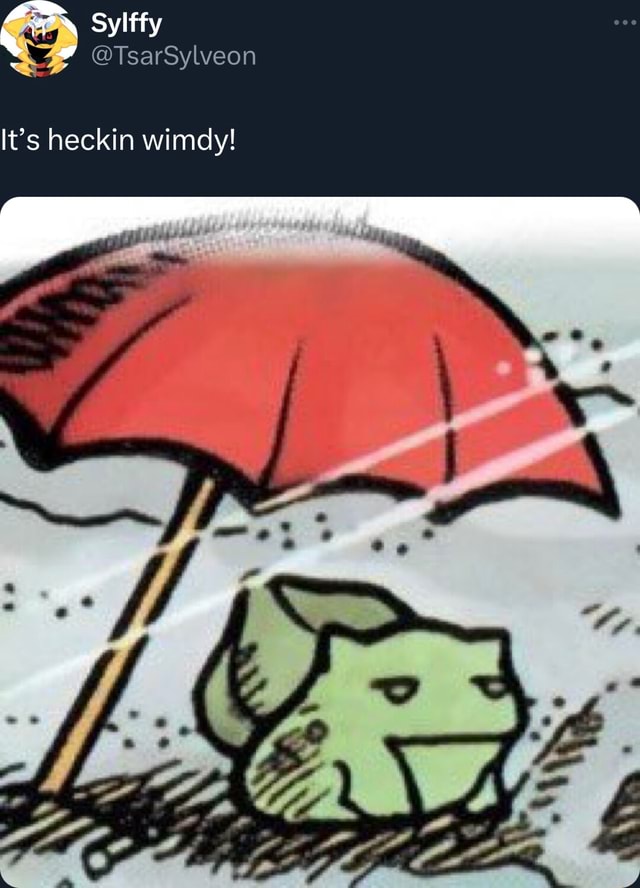 SS It's heckin wimdy! - iFunny