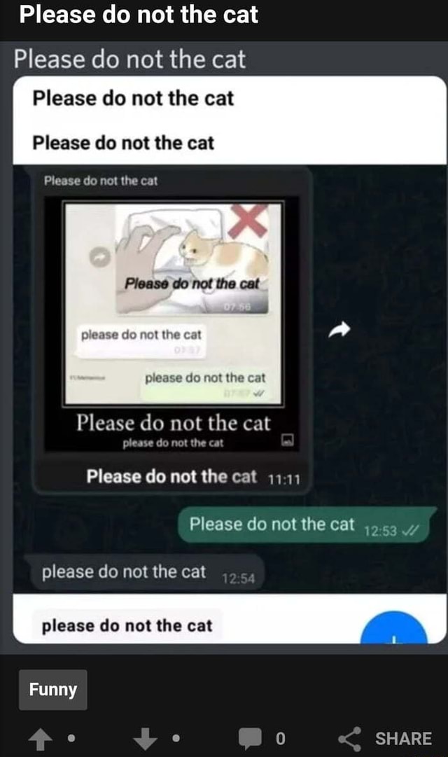 Please do not the cat Please do not the cat Please do not the cat ...