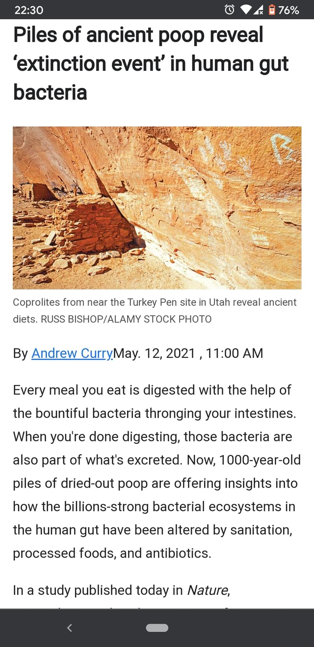 Historic shitpost - 76% Piles of ancient poop reveal 'extinction event ...