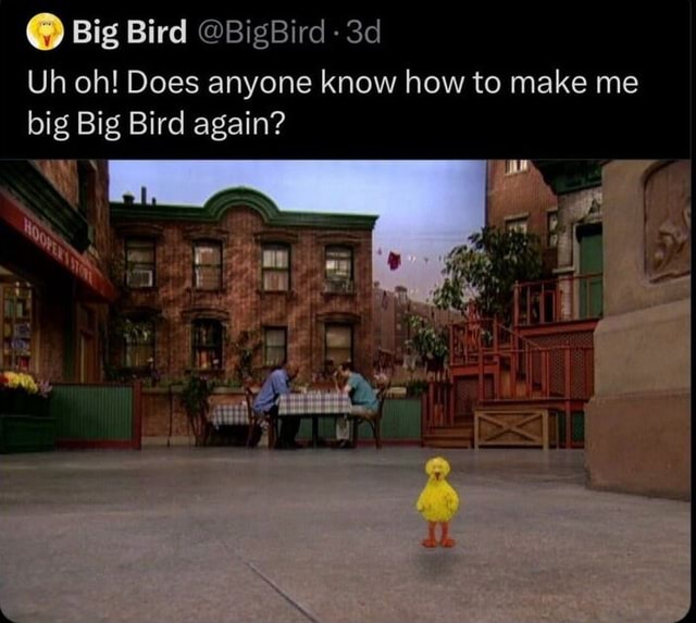 Big Bird @BigBird Uh oh! Does anyone know how to make me big Big Bird ...