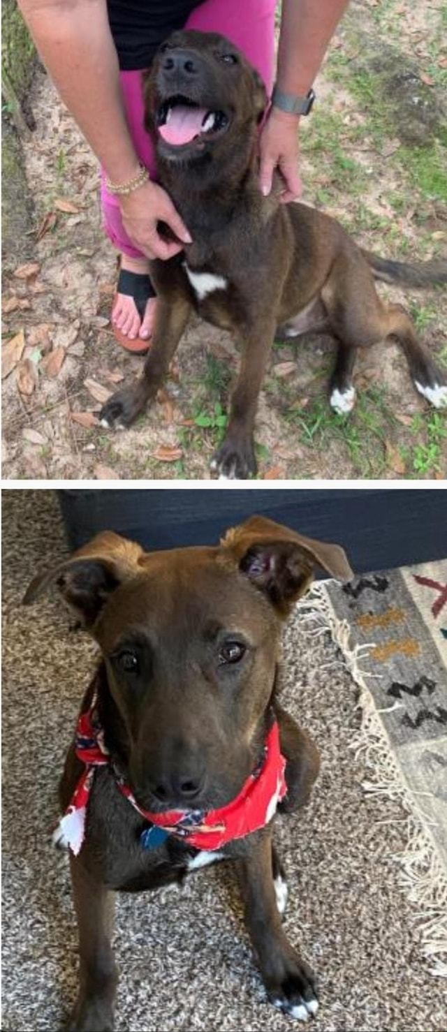 Dawww, baby 'dar - de y 1 ( Ay - iFunny