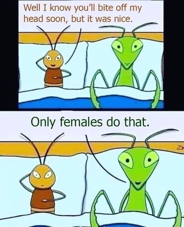 Well I know you'll bite off my head soon, but it was nice. Only females ...