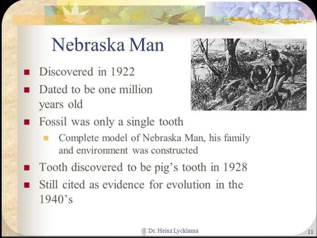 Nebraska Man Discovered in 1922 Dated to be one million years old ...