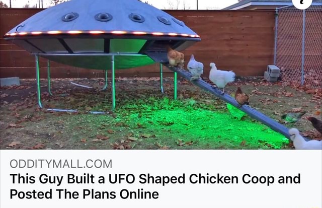 This Guy Built a UFO Shaped Chicken Coop and Posted The Plans Online ...