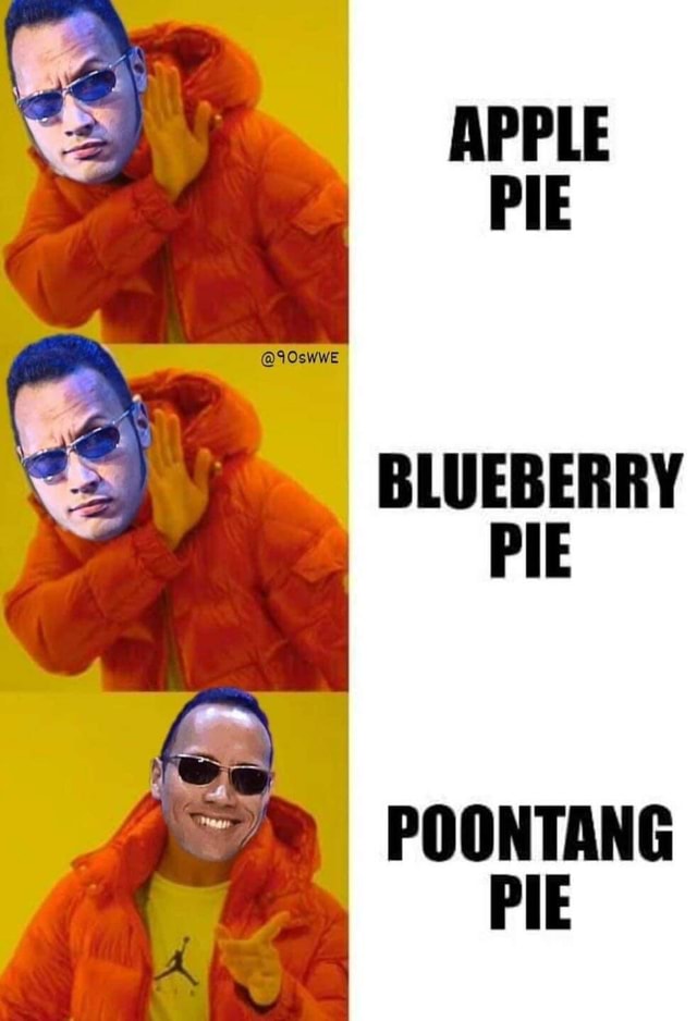 APPLE PIE BLUEBERRY PIE POONTANG PIE - iFunny