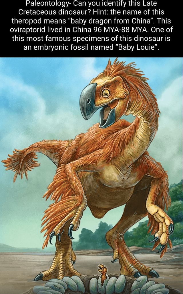 Paleontology- Can you identify this Late Cretaceous dinosaur? Hint: the ...