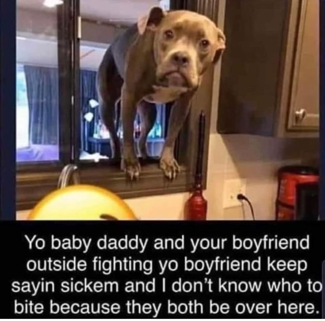 Yo baby daddy and your boyfriend outside fighting yo boyfriend keep ...