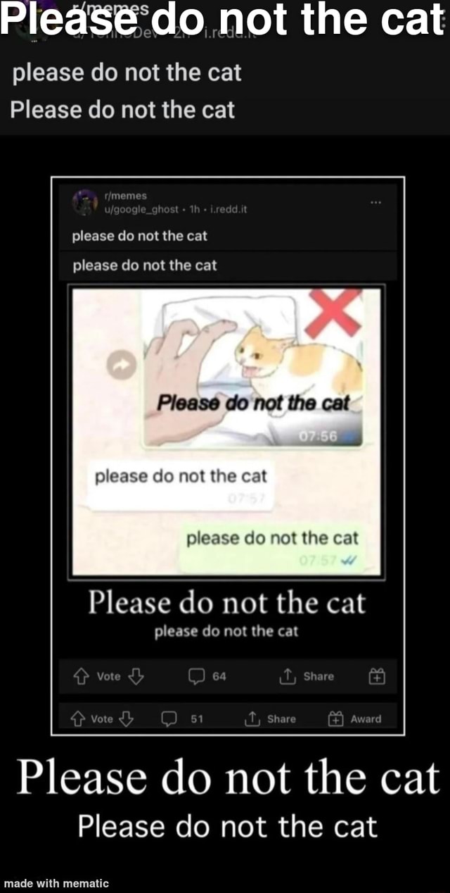Please do not the cat please do not the cat Please do not the cat odd ...