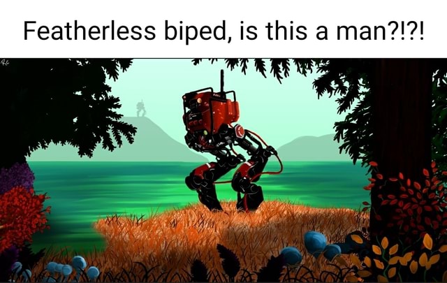 Featherless biped, is this a man?!?! - iFunny