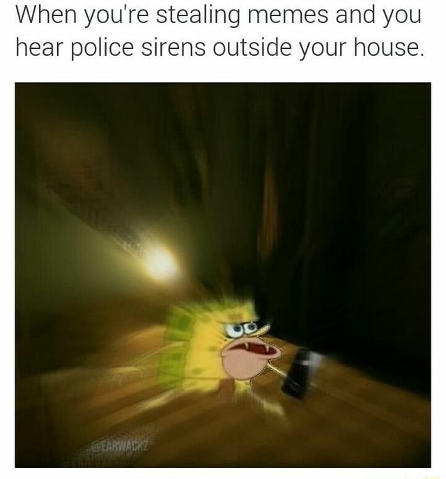 When you're stealing memes and you hear police sirens outside your ...