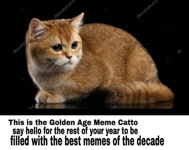 This is the Golden Age Meme Catto say hello for the rest of your year ...